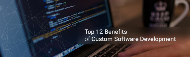 Explore the Top 12 Benefits of Custom Software Development